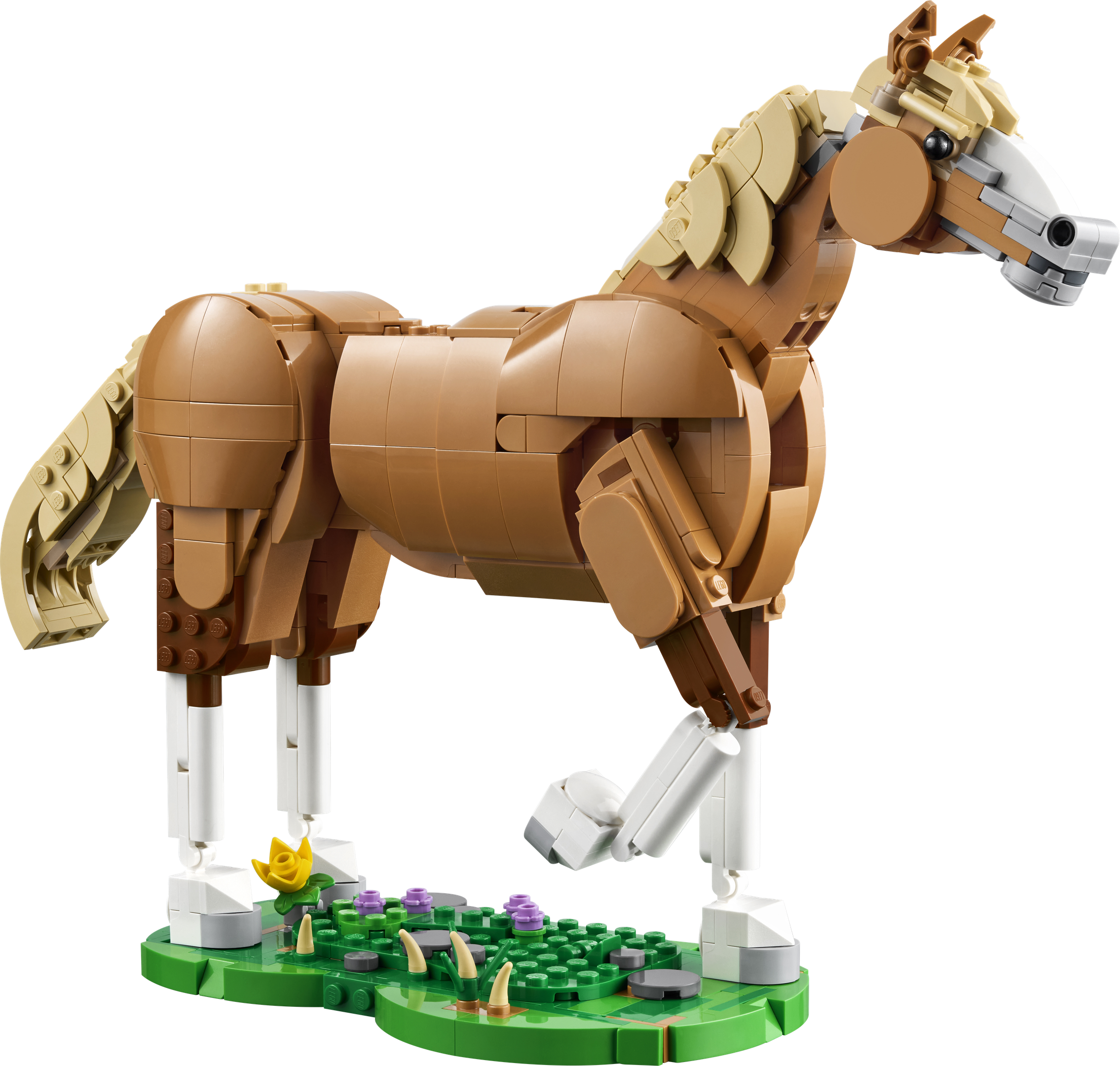 LEGO @ tortuga.ge
